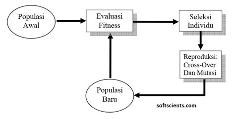 Belajar Algoritma Genetika Bagian 1 Softscients
