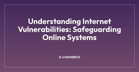 Understanding Internet Vulnerabilities Safeguarding Online Systems • B