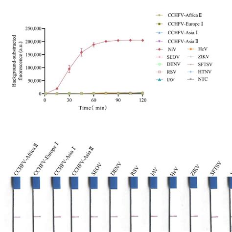 Specificity Evaluation Of The One Pot Rpa Crisprcas13a Assay For Niv