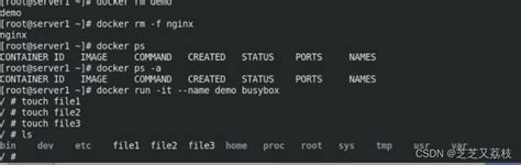 docker镜像的分层结构、dockerfile的编写及镜像封装优化 dockerfile分层打包 csdn博客