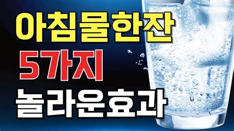 🔹 아침 물 한 잔의 놀라운 효과 5가지 건강과 다이어트 피부까지 변화하는 습관 Youtube