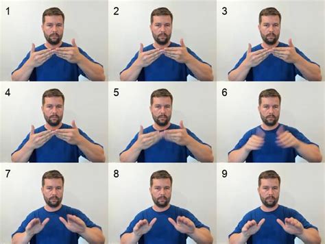 Split Asl Dictionary