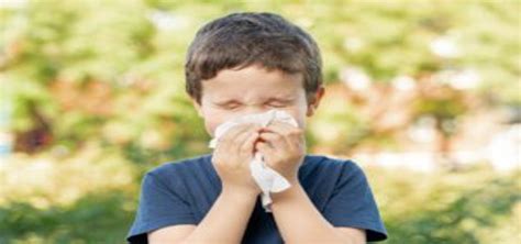 Unveiling The Power Of Allergen Immunotherapy Theskinartistry