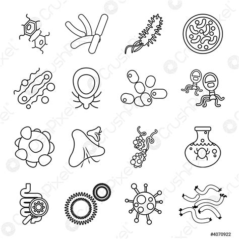 Virus Bacteria Icons Set Outline Style Stock Vector 4070922 Crushpixel