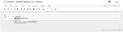 Jupyter Notebook设置代码提示和自动代码补全jupyter Notebook代码自动补全 Csdn博客