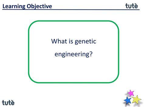 Bio Igcse Genetic Engineering Pdf