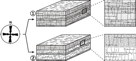 Similar Fracture Pattern With A Difference In Fracture Distribution As Download Scientific