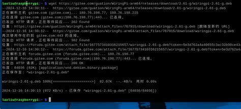 树莓派5 无法使用gpio命令问题解决全记录树莓派5使用wiringpi Csdn博客
