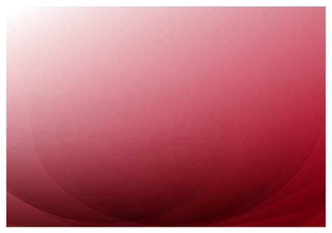 Abstract Template Red Background Curve Line Vector Image