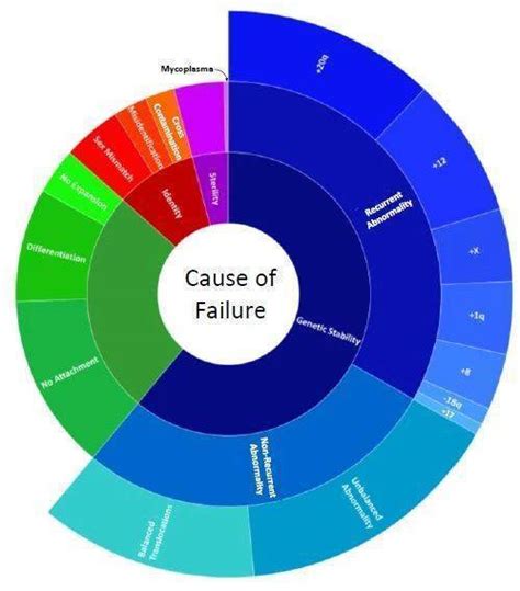 干细胞对细胞的诱导分化功能检测干细胞分化潜能检测干细胞质量检测飞凡张同学 Wicell 进行 鉴定