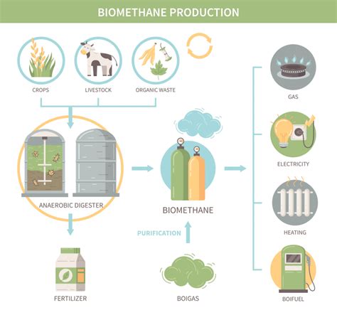 Biogas Definition Uses Types And Sources Shapiro