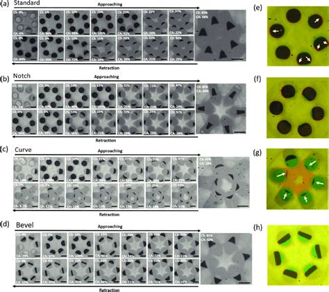 Contact Signatures Versus Compressive Strain A D The Evolutions Of Download Scientific