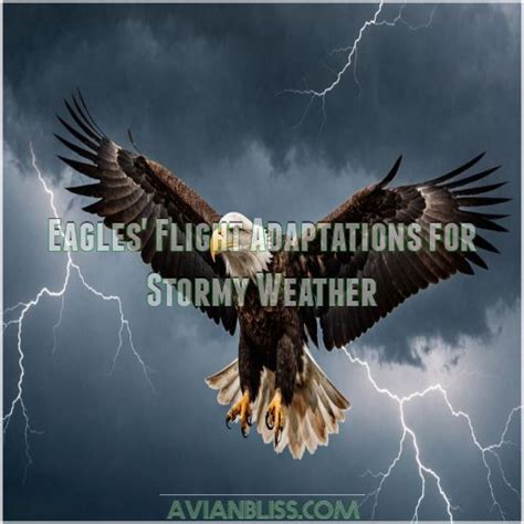 How Do Eagles Fly In A Storm Soaring Masters Of Turbulent Skies Revealed