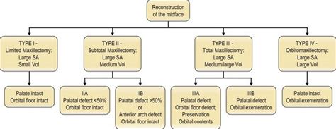 Midface Reconstruction Plastic Surgery Key