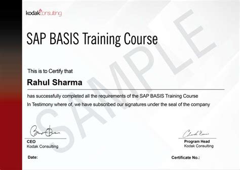 Sap Basis Training