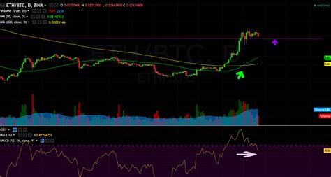 Trading Assignment Find An Idea Ta And Algo Trading Course Moralis
