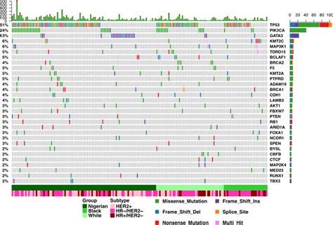 Landscape Of Driver Genes In Breast Cancer Across Different Ethnic Download Scientific Diagram