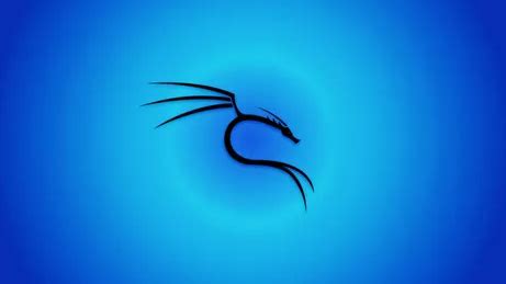 Is Kali Linux Safe For Beginners DIY Security Tips