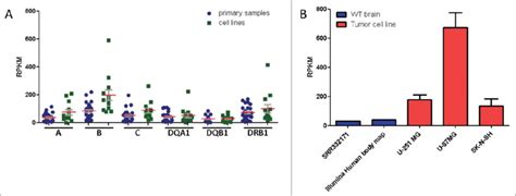 Comparison Of Hla Expression Profiles Of Cancer Cell Lines Versus Download Scientific Diagram
