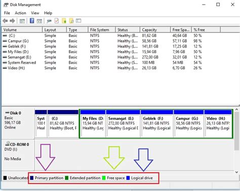 Basic Data Vs Primary Partition At Agnes Bates Blog