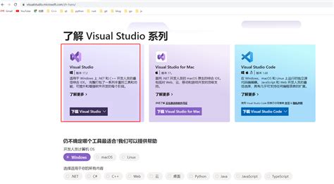 环境搭建 · 恋恋风辰的编程笔记
