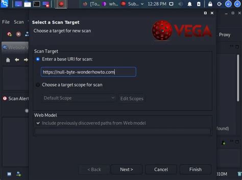 how to scan websites for potential vulnerabilities using the vega