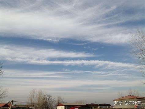 我想要每天进步一点点 知乎