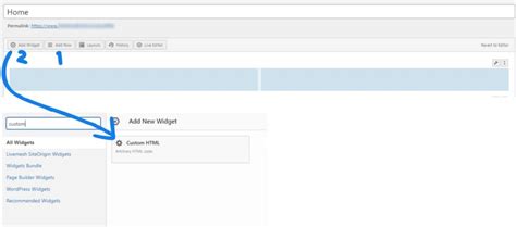 How To Add A Particlesjs To Wordpress When Using Siteorigins