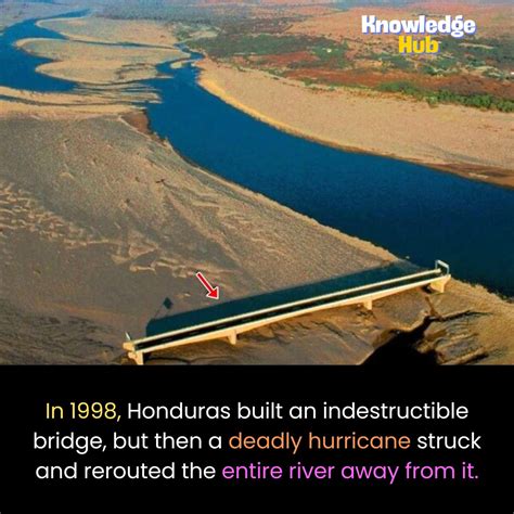 Knowledge Hub
