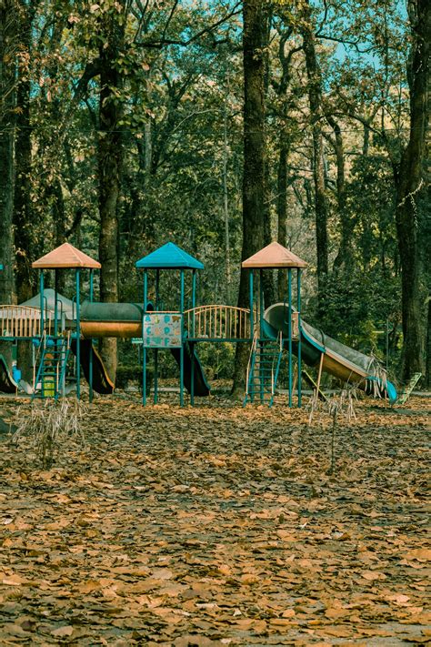 Why Aptos From Calibri To Aptos And What It… By Charlene Ann Mildred Illumination Medium