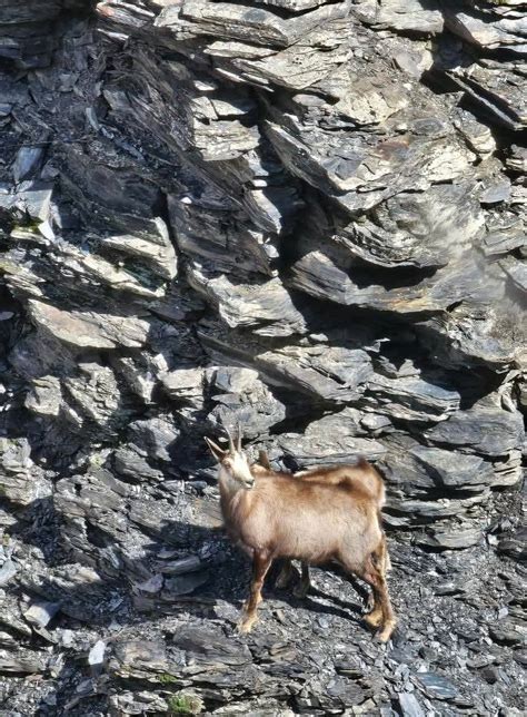 ფშავ ხევსურეთის ეროვნული პარკი Pshav Khevsureti National Park Added A ფშავ ხევსურეთის
