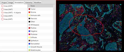 convert annotations into detections counting in the annotations tab is