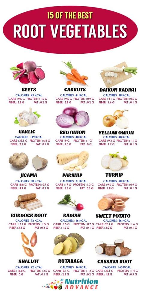 17 Healthy Root Vegetables And Their Key Nutrients In 2024 Diet And