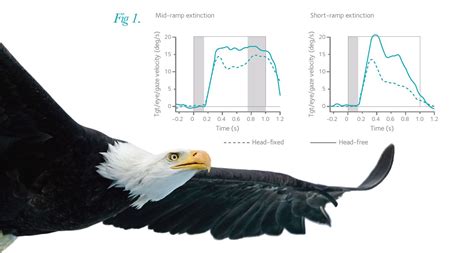 Unravelling The Processes That Underlie The Everyday Activity Of