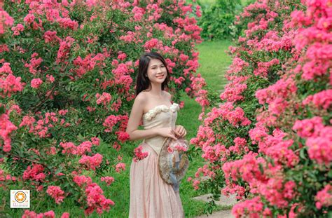 Ch P Hoa T Ng Vi H N I