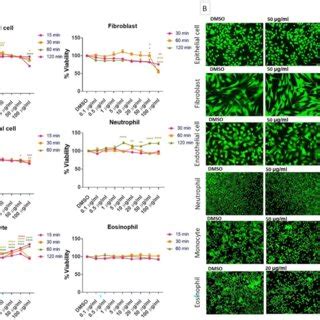 CSC Stimulation Effect On The Oxidative Stress Related Genes Download Scientific Diagram