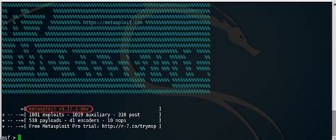 Metasploit Basics Part 14 Updating The Msfconsole Hackers Arise