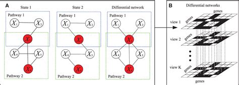 Figure 1 From Incorporating Prior Information Into Differential Network Analysis Using Non