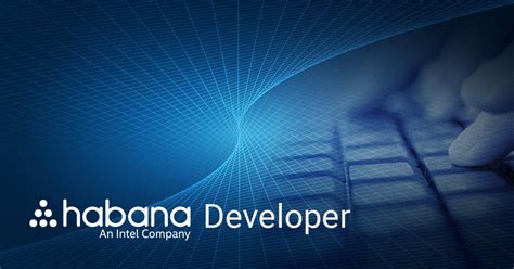 Intel® Tiber™ Ai Cloud Intel Gaudi Developers