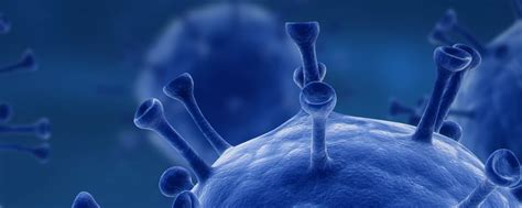 Cobas® Hiv 1 Hiv 2 Qualitative Nucleic Acid Test For Use On The Cobas® 5800 6800 8800 Systems