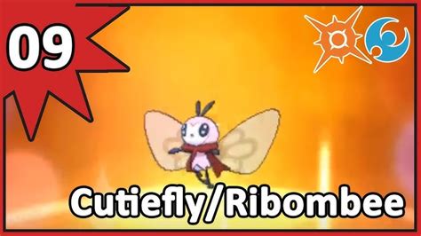 Cutiefly Evolution