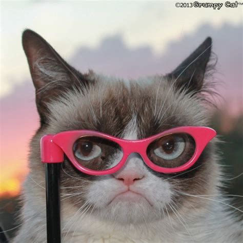 10 Cats Who Think They Are Smarter In Glasses