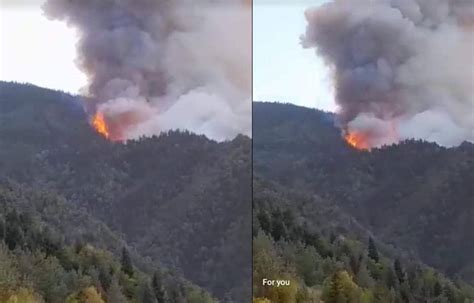 Video “იმატებს და იმატებს ცეცხლი…ნახეთ სად გადავიდა უკვე” ბორჯომის ხეობა ამ წუთებში