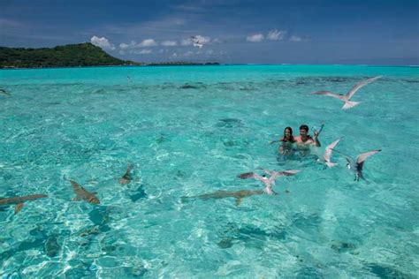Bora Bora Lagoon Boat Tour With Snorkeling Getyourguide