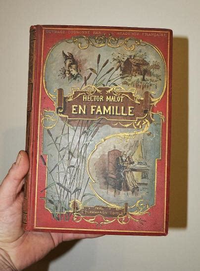Hector Malot En Famille Ilustrace Lanos Flammarion Aukro