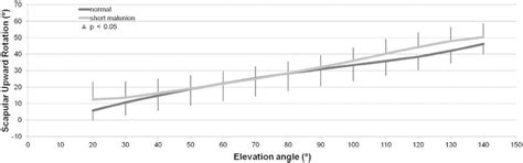 Scapular Upward Rotation In Relation To Arm Elevation Download Scientific Diagram