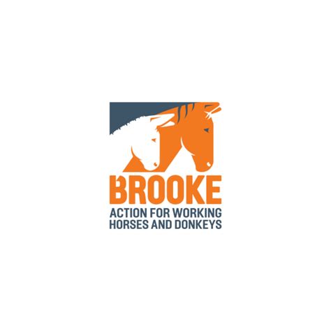 Big Data Software Big Data Consulting Analytics Services