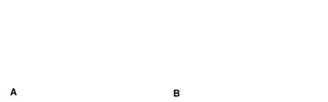 The Results Of Frontal Executive Function A And Visuospatial Function Download Scientific