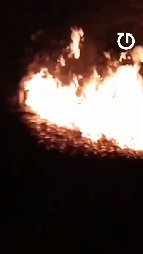 ტაბულა • Tabula ⭕ უკვე არაერთმა ქალმა დაწერა რომ დაკავების და ჩხრეკის დროს სრულად აშიშვლებენ