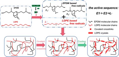 Schematic Diagram Of Cross Linked Network Structure In Epdmldpe Composites Download